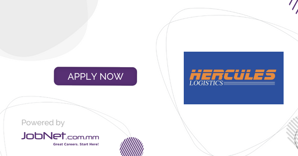 Chief Accountant | Hercules Logistics