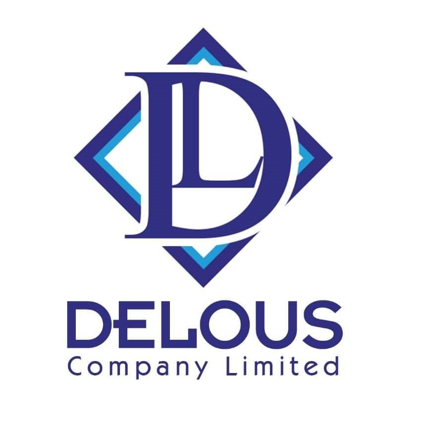 Senior Sales Manager | Delous Company Limited