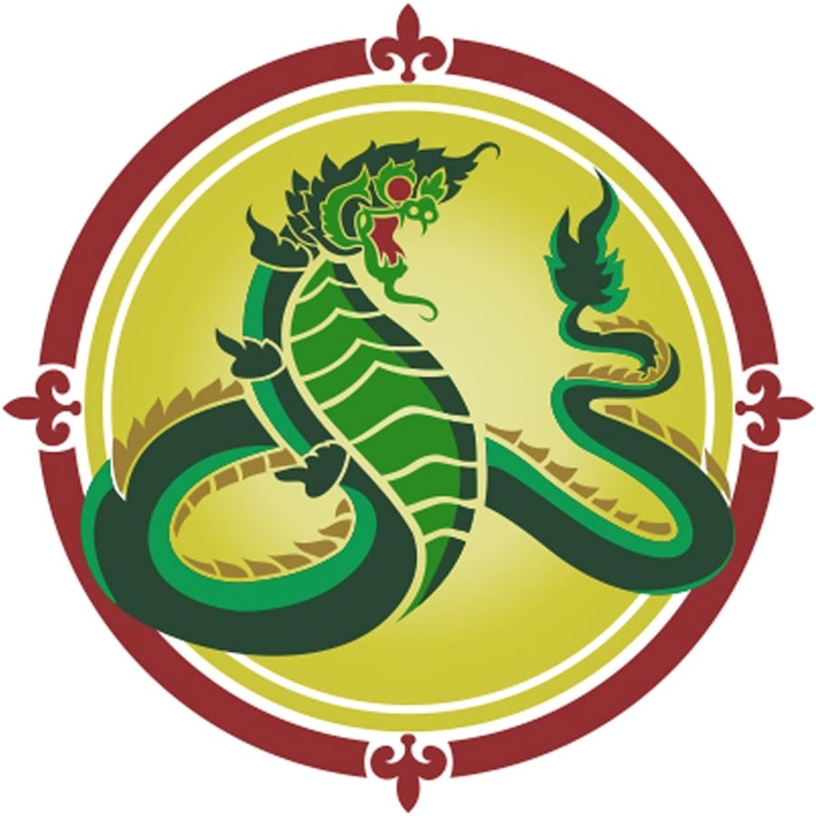 Chief Accountant (Project Based) | Green Myanmar Dragon Co.,Ltd.