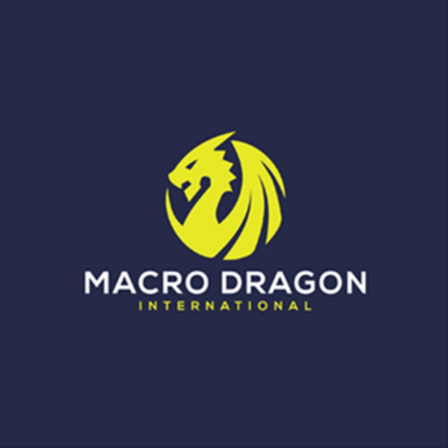 Senior Account | MACRO DRAGON INTERNATIONAL COMPANY LIMITED
