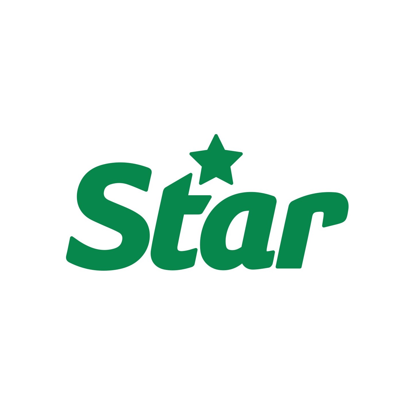 Finance Manager | STAR HOLDINGS GROUP INTERNATIONAL